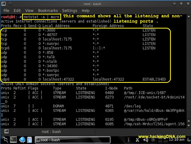 HackingDNA: Learn how to use Netstat Commands On Backtrack 5