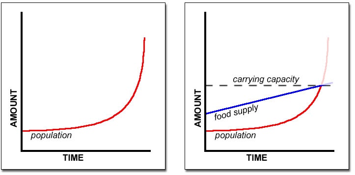 Carrying Capacity Dashboard: Carrying capacity by numbers
