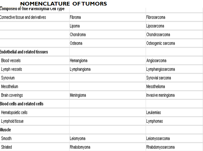 MBBS Medicine (Humanity First): Neoplasia MBBS Medicine (Humanity First): Neoplasia
