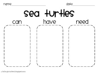 Winners & Baby Sea Turtles | Falling into First