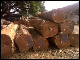 bokep gratis download: Jati Blora