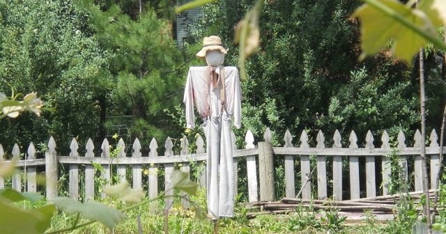 Blue Sky, Big Dreams: The Lonely Scarecrow