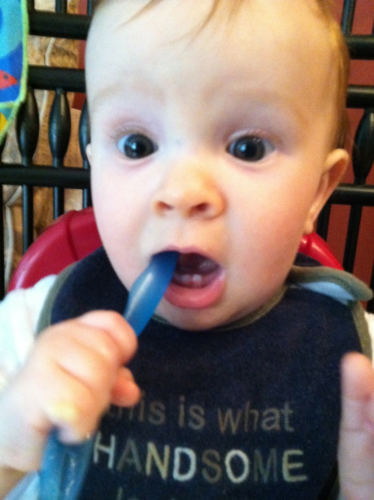 Food Fit For Kids How To Get Your Kids To Try New Foods food-fit-for-kids-how-to-get-your-kids-to-try-new-foods