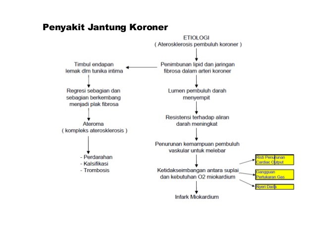 Baihaqi Abie Naufal: Laporan Pendahuluan Penyakit Jantung Koroner (PJK)