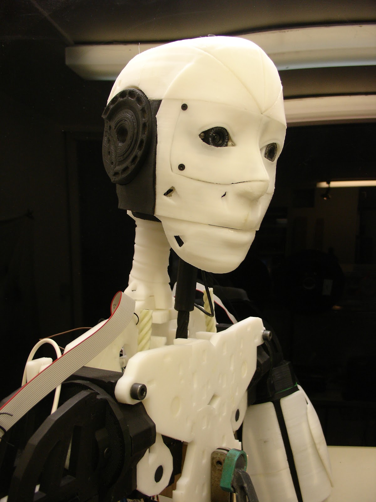 InMoov: Power supply + robot head printed InMoov: Power supply + robot head printed