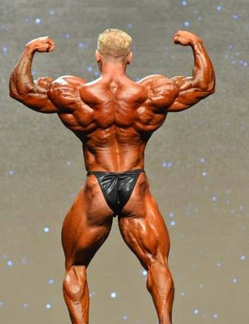 Roelly 'Wings' Winklaar : r/bodybuilding