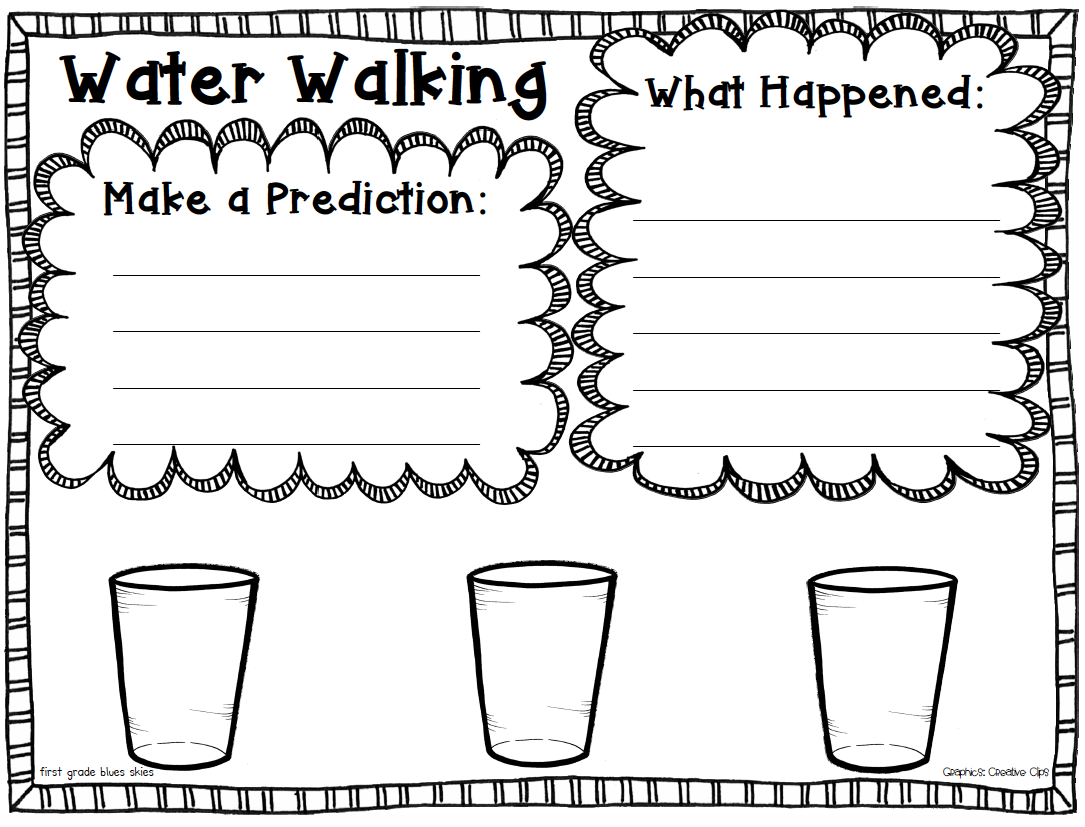 Water Walk Experiment FREEBIE and Bumblebees Close Read | First Grade ...