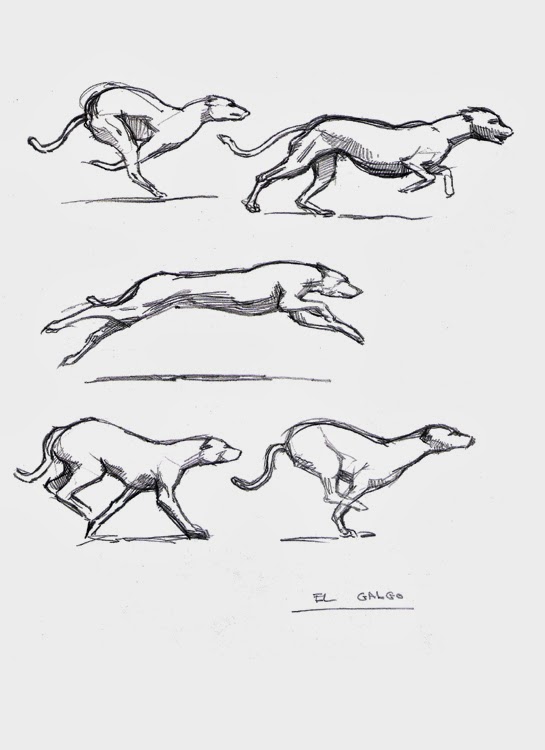 Mariano Espinosa.: Animales en movimiento. (A partir de Muybridge)