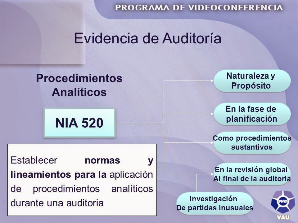 CURSO DE NIAS II AUDITORIA: CURSO DE NIAS II AUDITORIA: