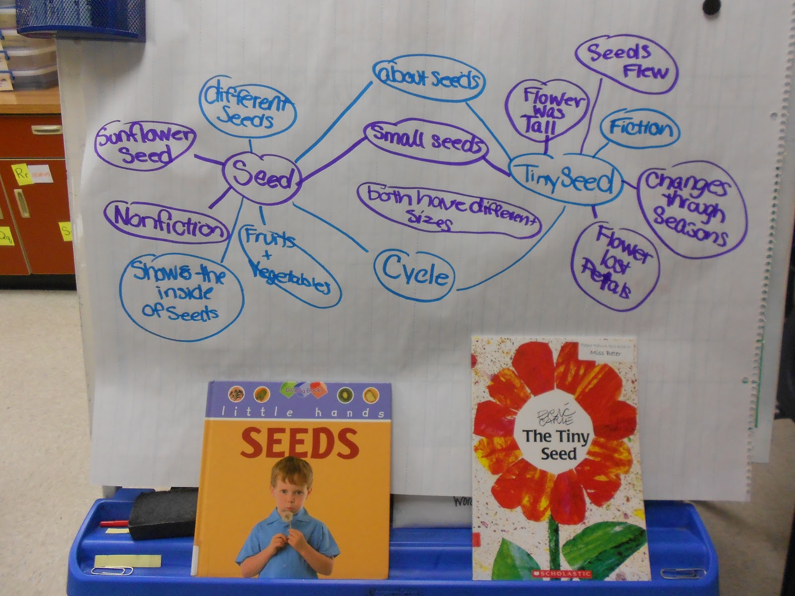 Plants! - Teacher by the Beach