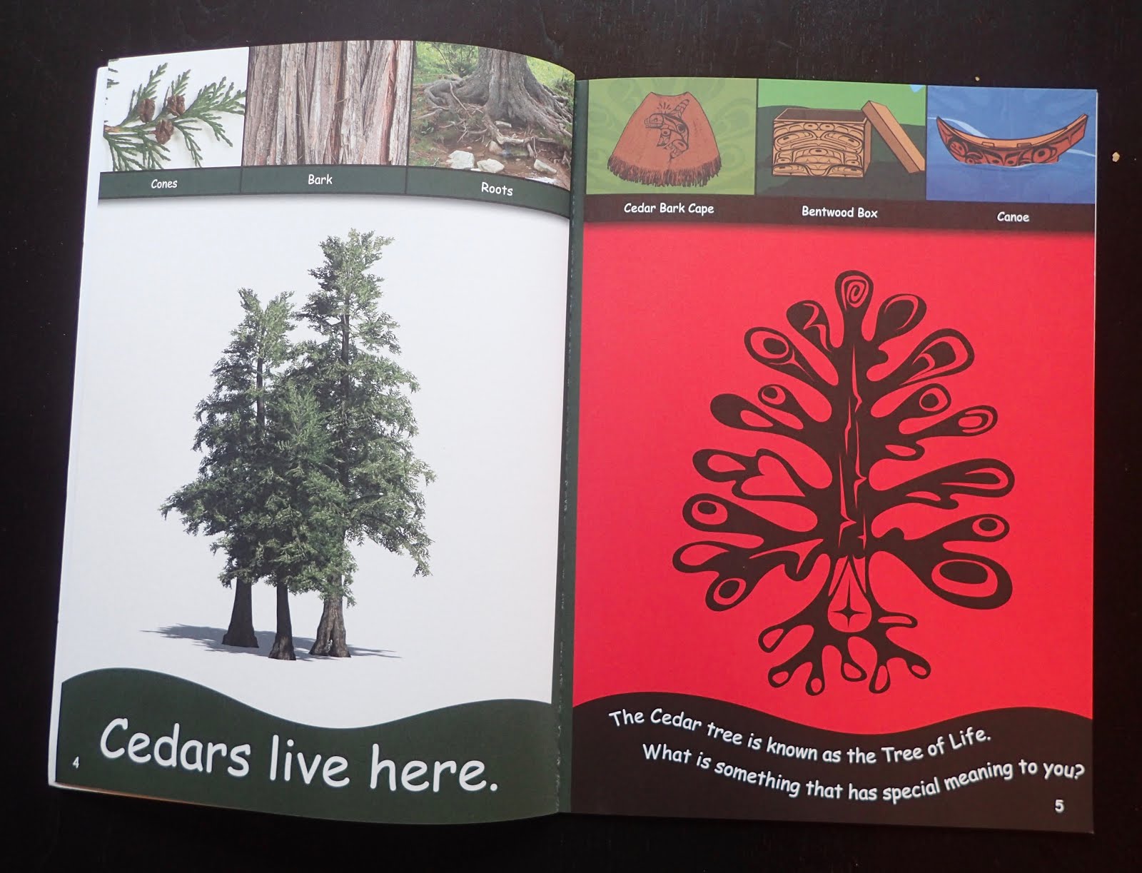 cedar prints - rubber boots and elf shoes