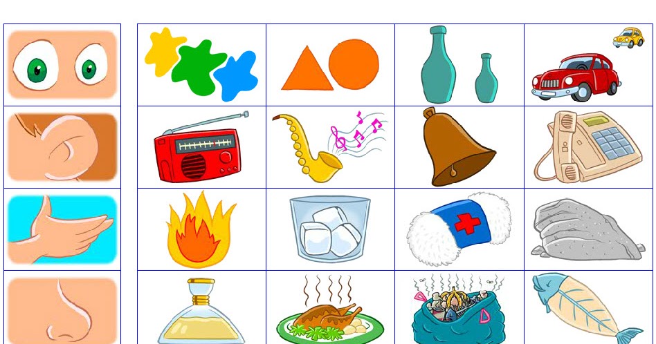 EL BLOG DE PRIMERO 2: RECUERDA LOS 5 SENTIDOS