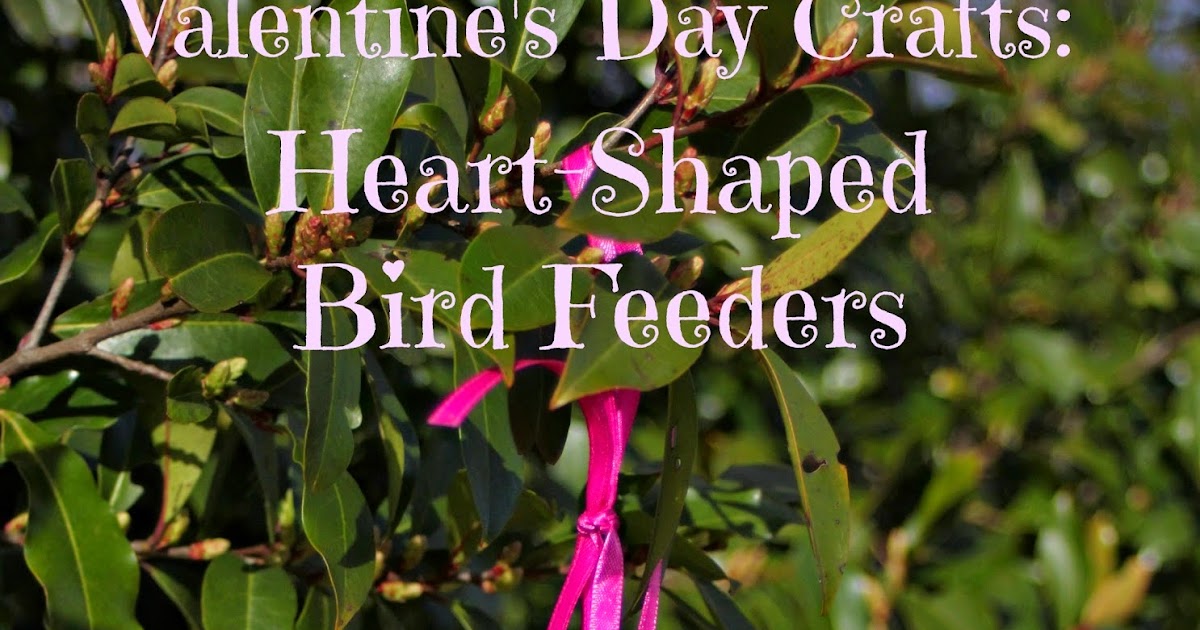 borrowed heaven: Valentine's Day Craft: Heart-Shaped Bird Feeders