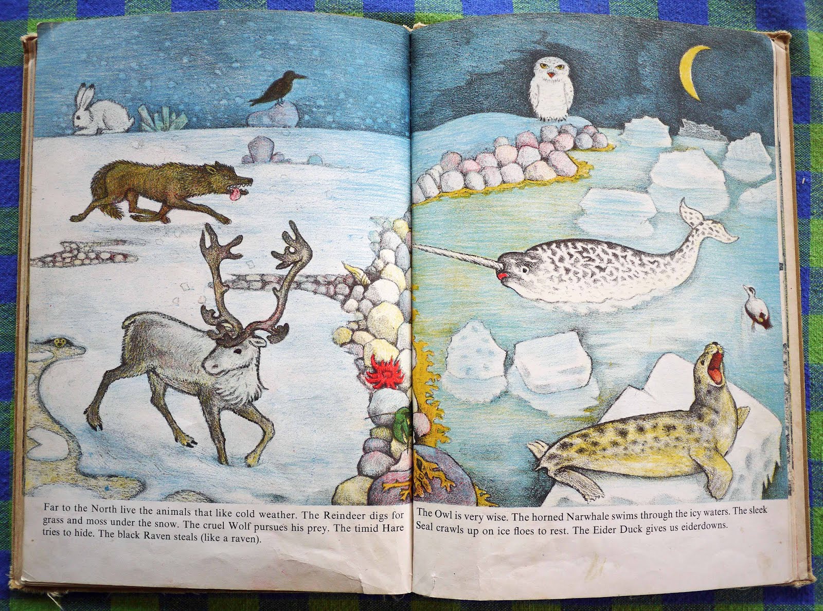 Vintage Kids' Books My Kid Loves: Animals Everywhere