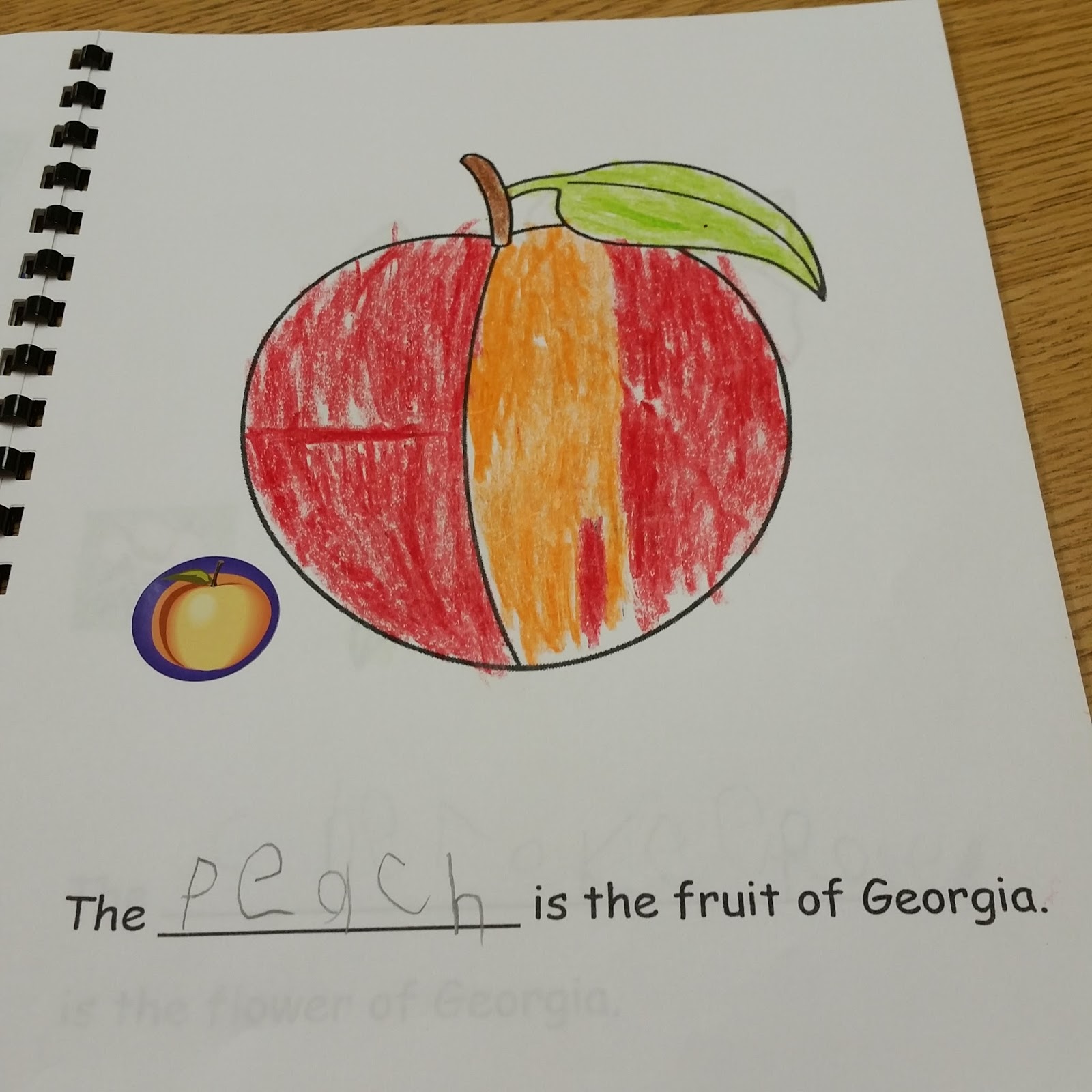 Five for Friday: The Peach State - Learning at the Teacher Table