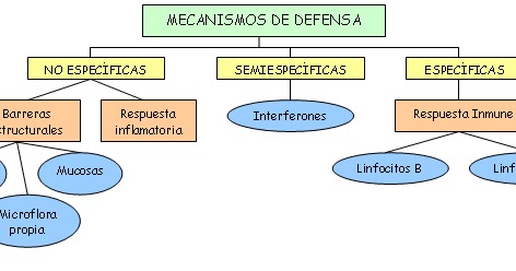 Sistema Inmune: Mecanismos de defensa