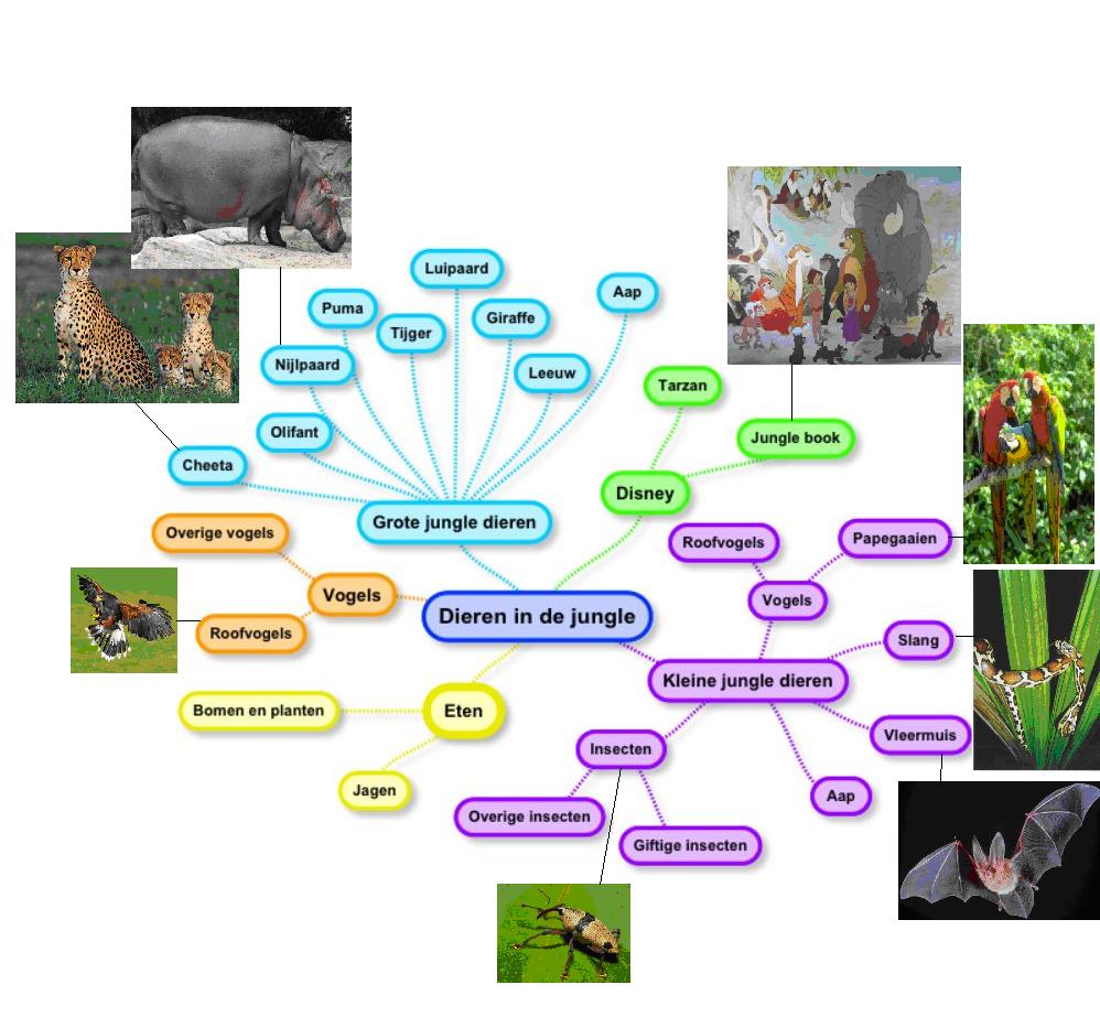Beeldende Vorming Dieren MMM
