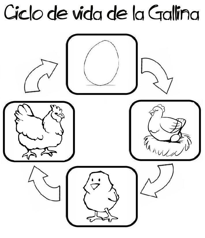 Menta Más Chocolate - RECURSOS y ACTIVIDADES PARA EDUCACIÓN INFANTIL ...