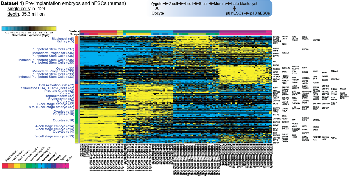 AltAnalyze Transcriptome Analysis: Hierarchical Clustering Heatmaps in ... AltAnalyze Transcriptome Analysis: Hierarchical Clustering Heatmaps in ...