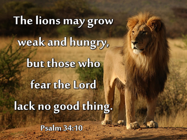 His Word In Pictures Psalm 34 10 his-word-in-pictures-psalm-34-10
