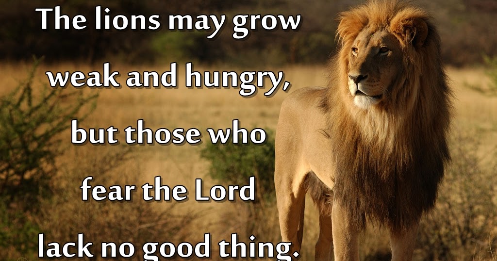His Word In Pictures Psalm 34 10 his-word-in-pictures-psalm-34-10