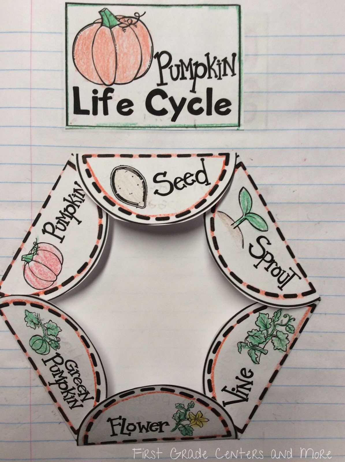 Interactive Science Notebook 1st Grade - First Grade Centers and More