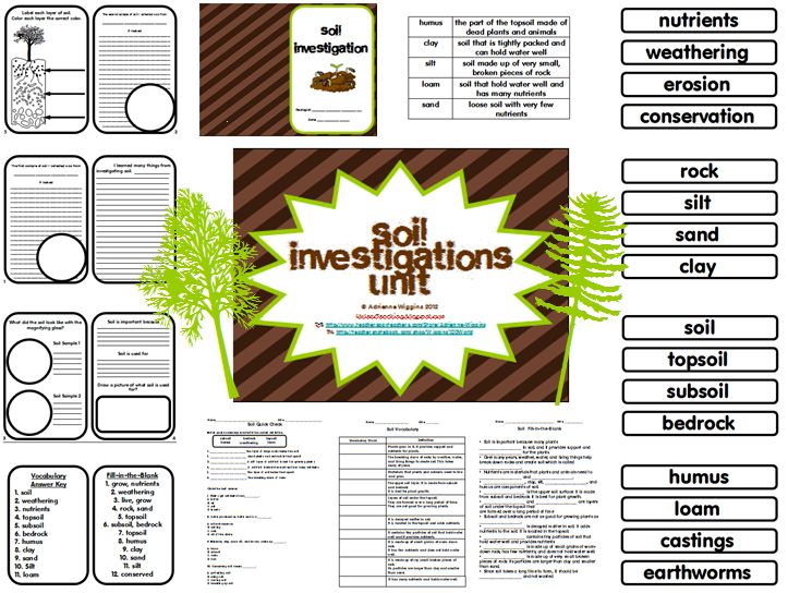 Soil Investigations! - Adrienne Teaches