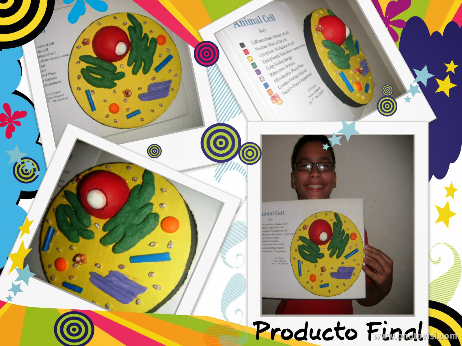 Cosas, Ideas y Ensueños: Como realizar una Célula.