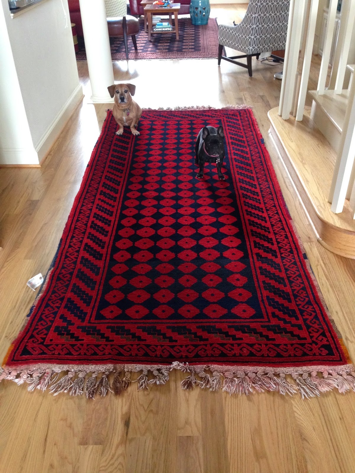 Glorious Gay Days: Carpet