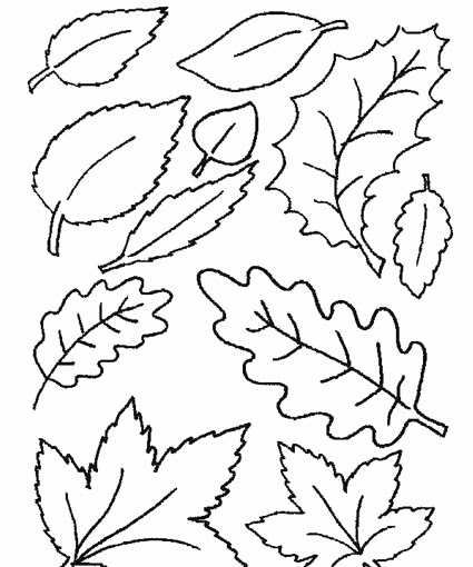 Leaves Coloring Pages - Colouring for Kids