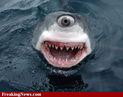 ส.ป.ช. อ่านเพลิน ดูมัน: Cyclops Shark ปลาฉลามตาเดียว