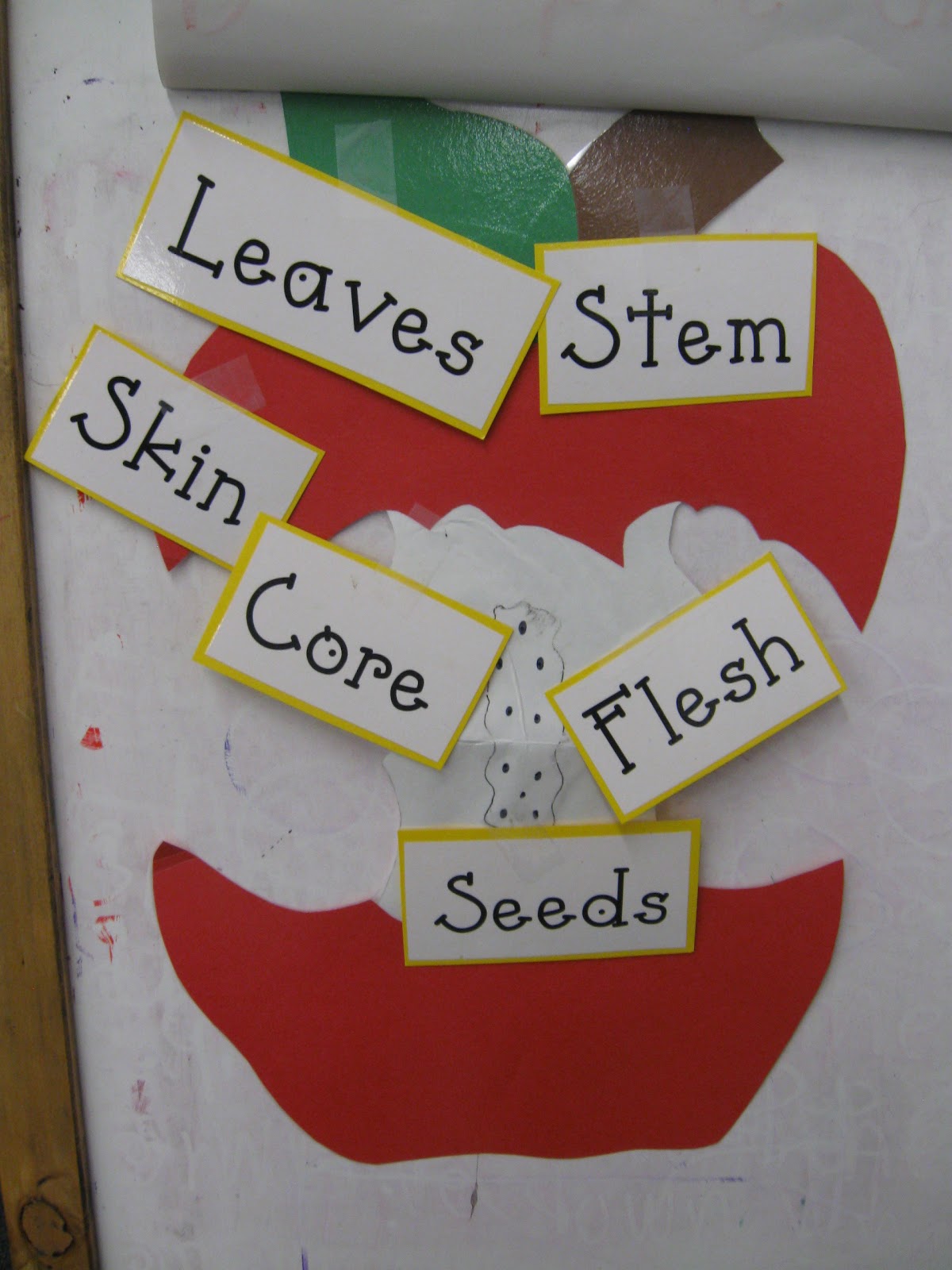 Apple Take-Over! | What the Teacher Wants! | Bloglovin’