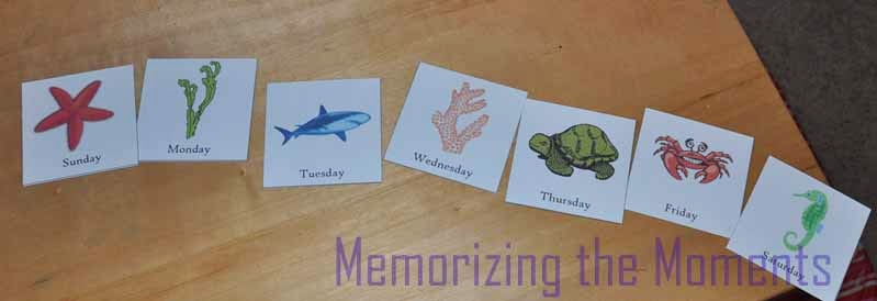 Memorizing the Moments: Ocean Theme Week