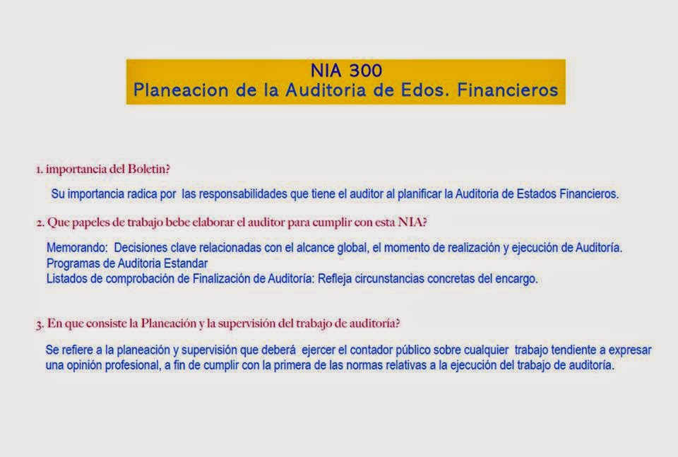 Fundamentos de auditoria: NIA 300 CUESTIONARIO
