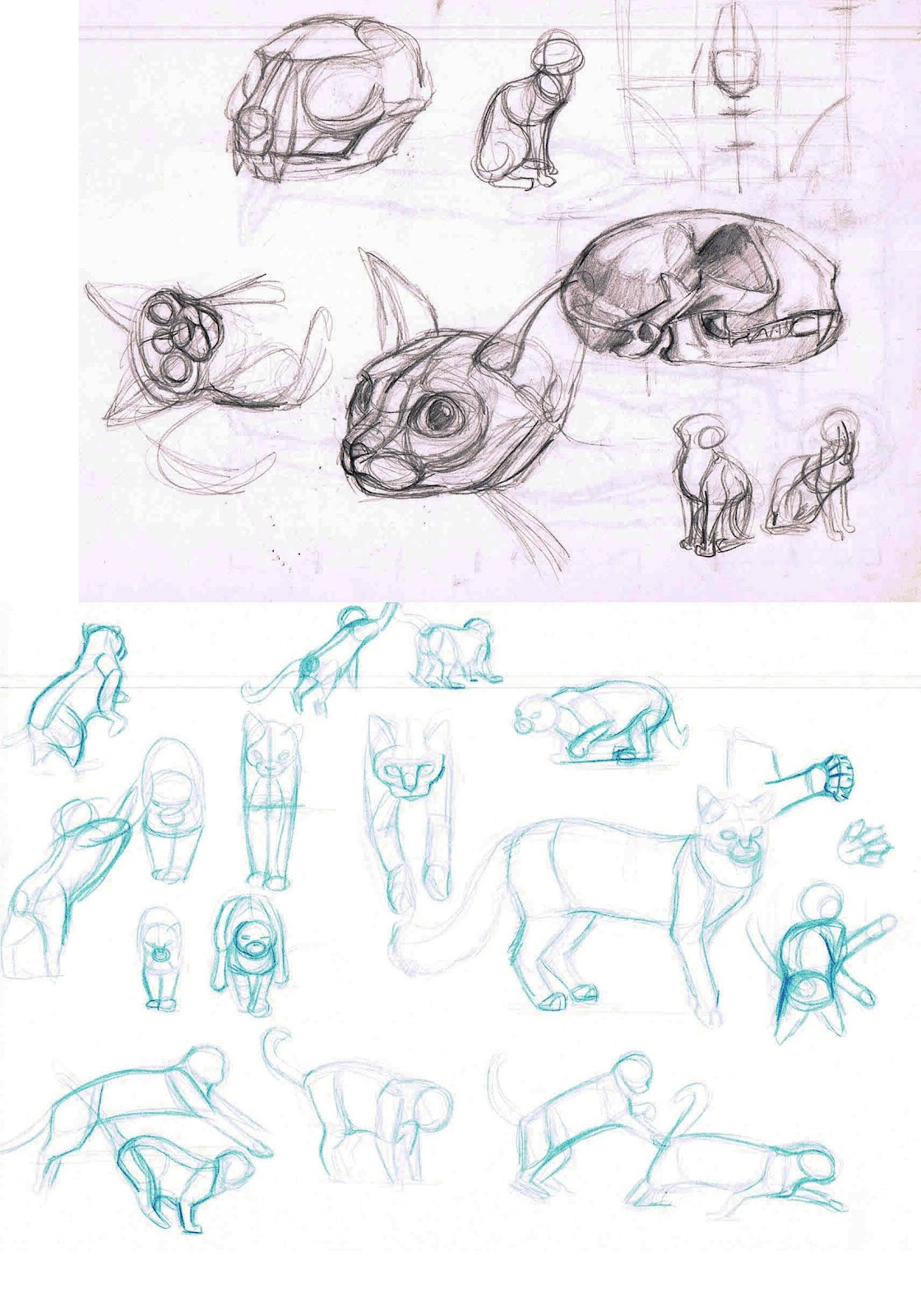 Bocetos de gatos - Imagui