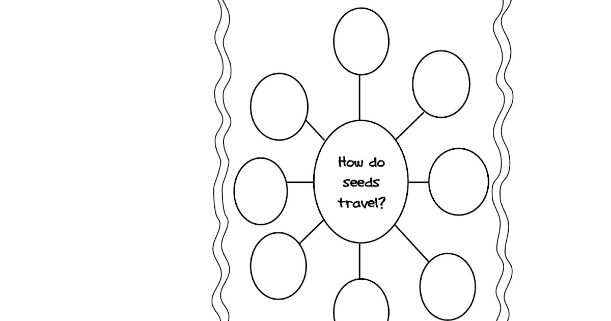 Simply Centers: Seeds Graphic Organizer and Writing Activity