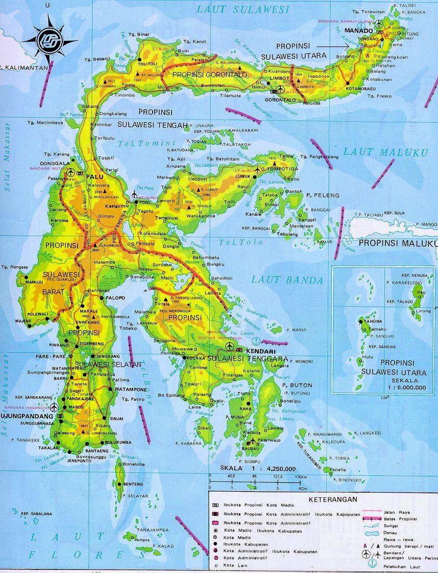 Sulawesi, Pulau di Indonesia dengan Fauna Terunik | Basecamp Petualang Sulawesi, Pulau di Indonesia dengan Fauna Terunik | Basecamp Petualang