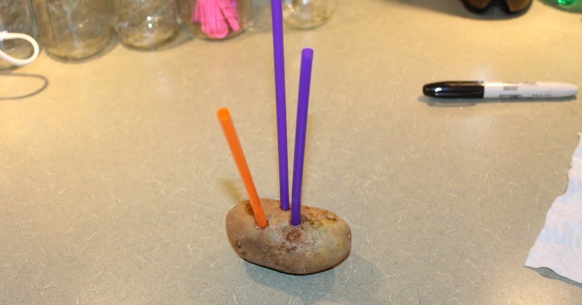 The Cool Science Dad: Stabbing a Potato The Cool Science Dad: Stabbing a Potato