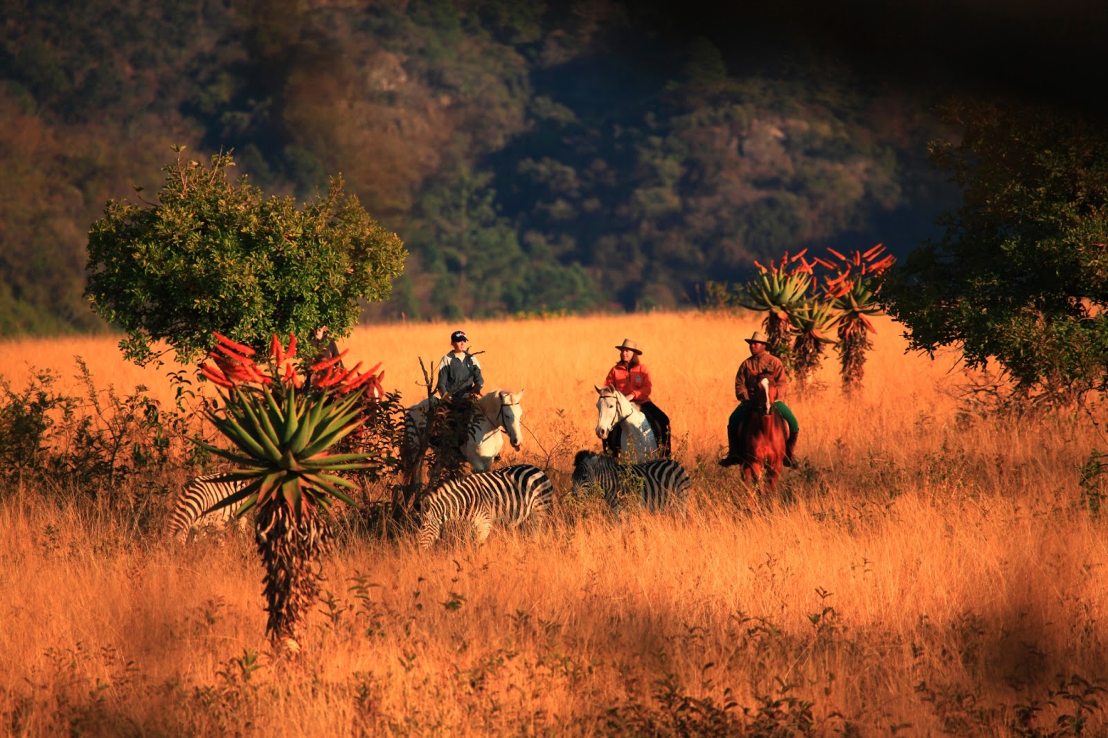 Travel Adventures Swaziland Umbuso WeSwatini A Voyage To travel-adventures-swaziland-umbuso-weswatini-a-voyage-to