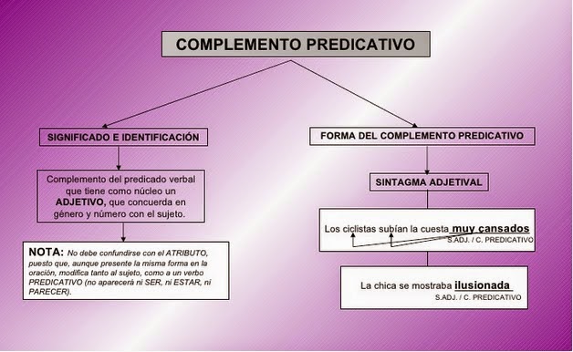 TEMA 7: COMPLEMENTO PREDICATIVO