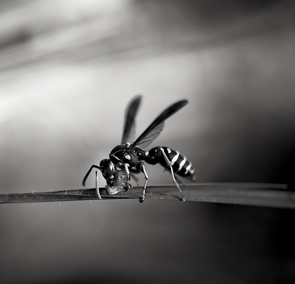 Best Of Black And White Photography 2013 Black And White Photography best-of-black-and-white-photography-2013-black-and-white-photography