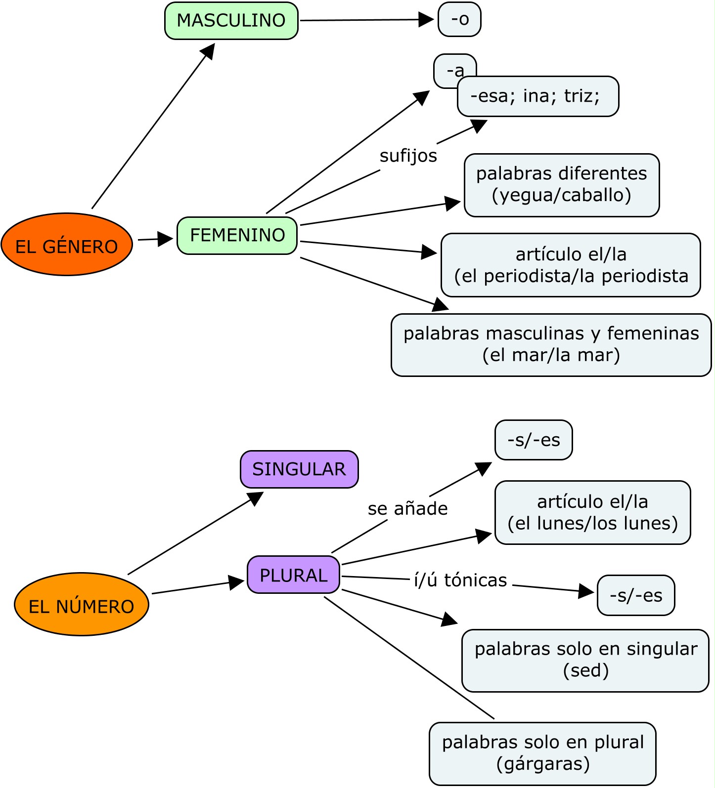 BLOG DE AULAS: EL GÉNERO Y EL NÚMERO