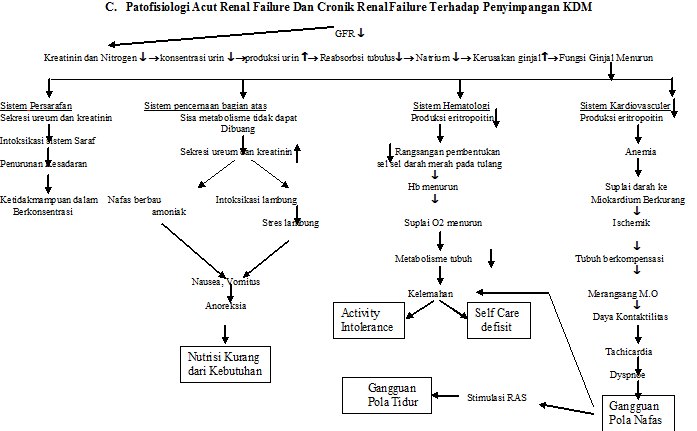 PATOFLOW: PATOFLOW ACUT RENAL FAILER