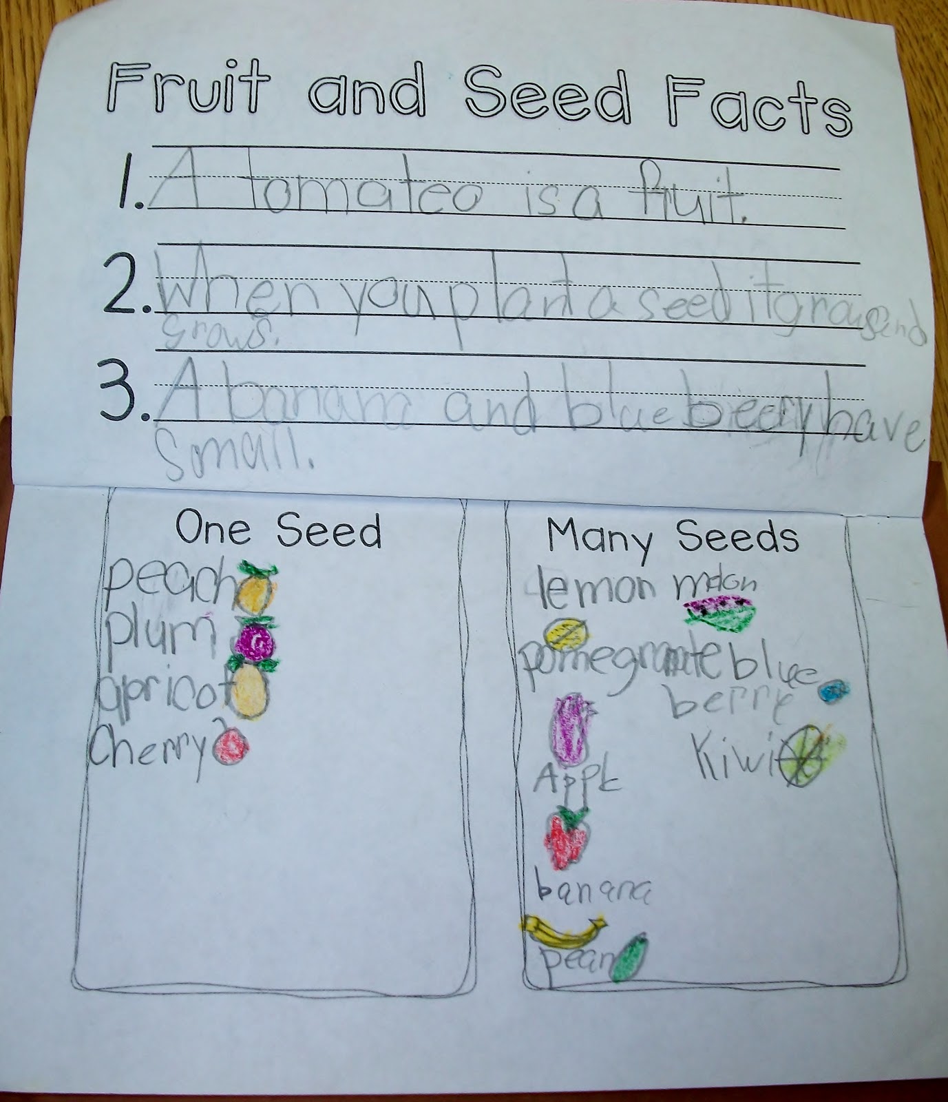 Once Upon a Learning Adventure: Three Freebies and A Big Reveal!