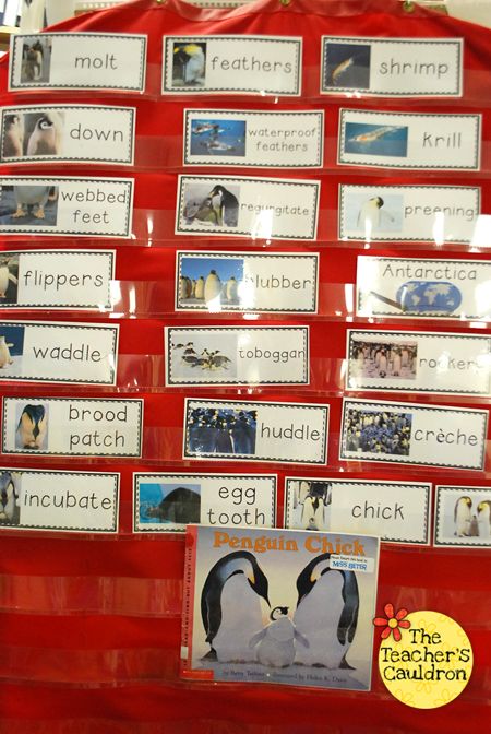 Our Week of Penguins! - Teacher by the Beach