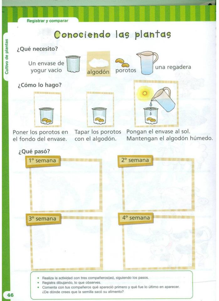 cienciadiversaparatodoelmundo: Conoce las plantas a través de un ...