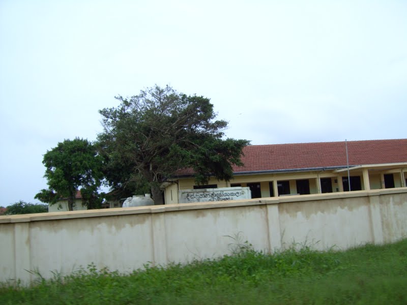 Adampan,Aandankulam | Mannar Photos