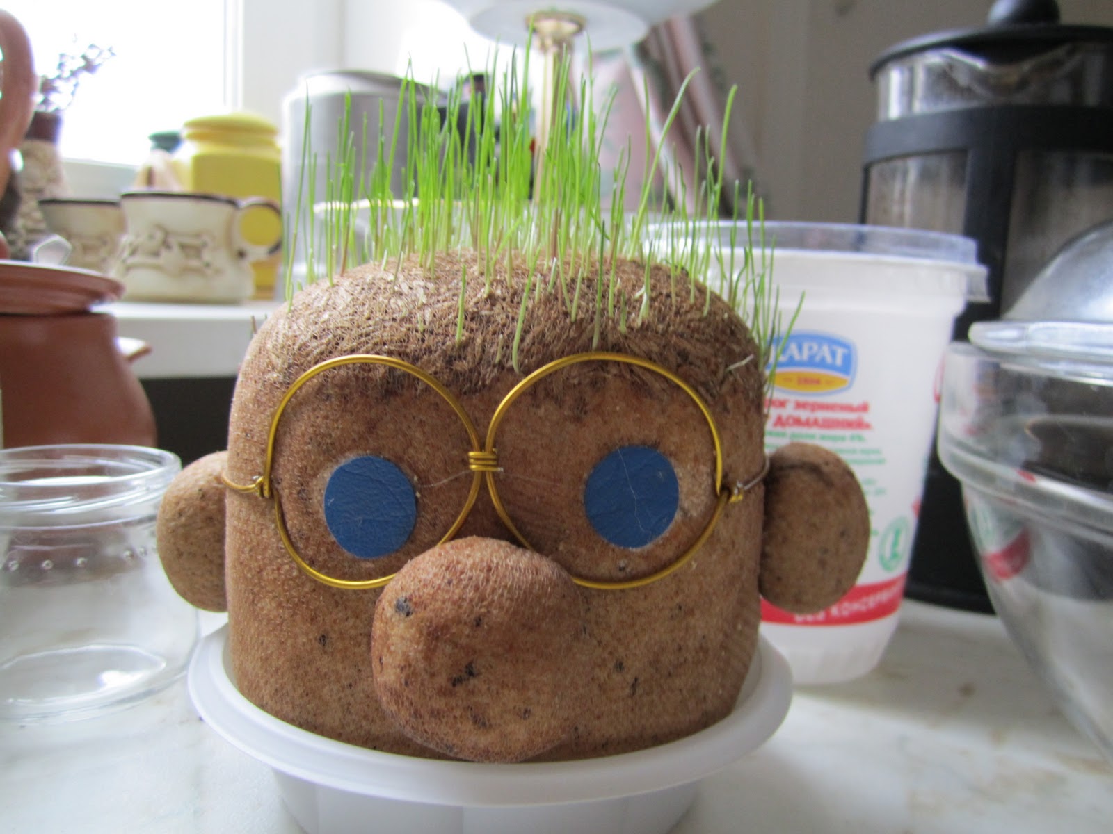 Arla's whereabouts: Mr. Grass -- a Story That Will Grow