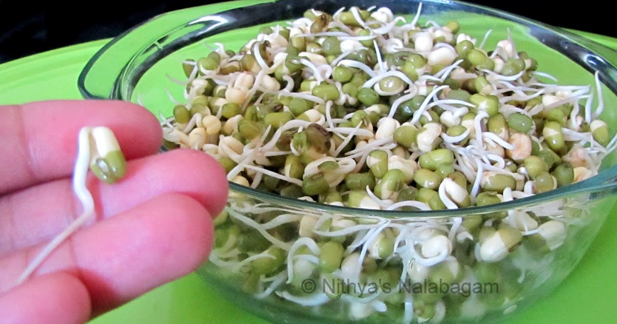 How to sprout moong dal | Whole green gram at home |Nithya's Nalabagam