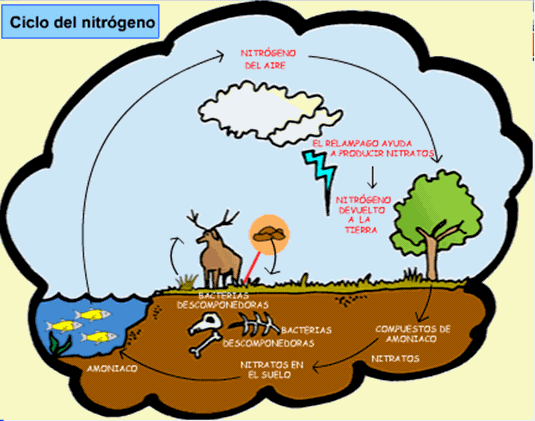 Desarrollo Sustentable.: Ciclos biogeoquímicos atmosféricos.